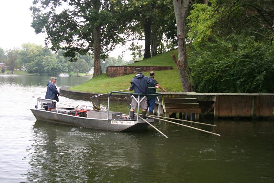 Electroshocking Survey | Dunlap Lake Property Owner's Association